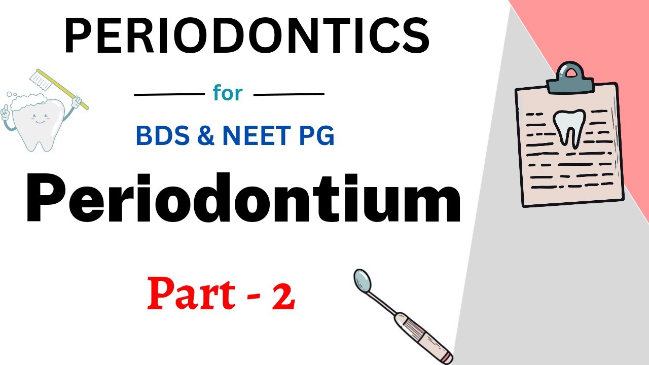 Periodontium Easy Dentistry - Part 2 | Periodontics Lecture | Teethopedia
