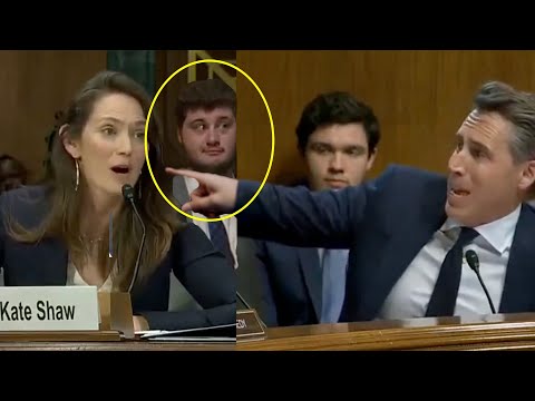 Crowd SHOCKED as witness HUMILIATES Josh Hawley at hearing