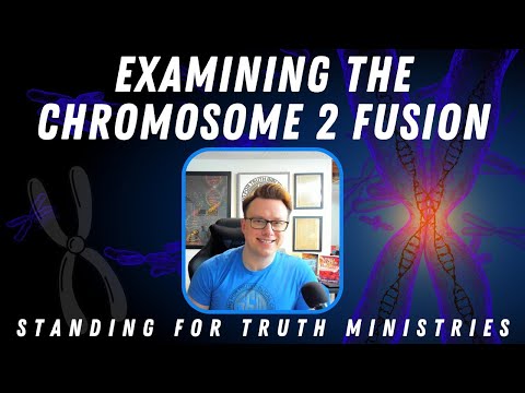 Human Chromosome 2: A Comprehensive Examination - Presentation & Interview