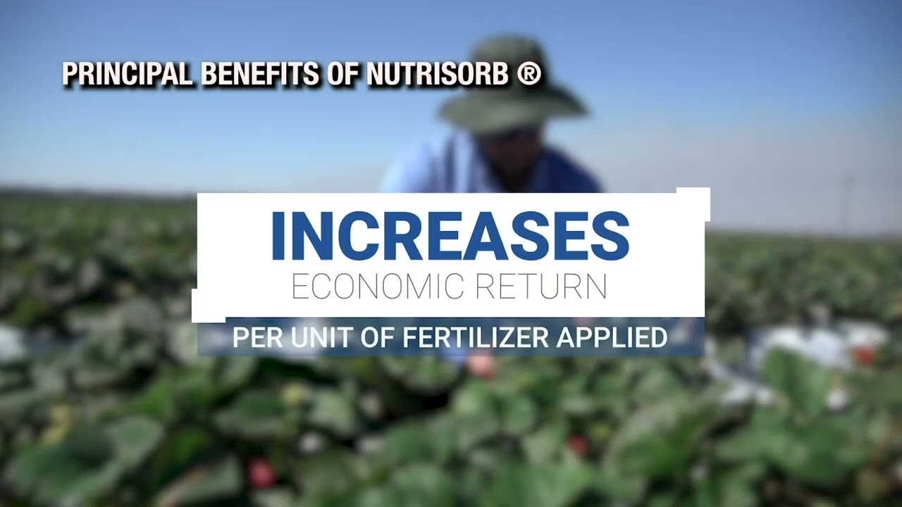 Nutrisorb | ENG