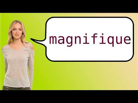 How to say 'magnificent' in French?