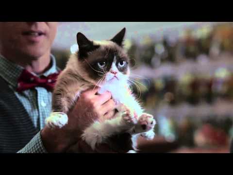 GRUMPY CAT'S DIE HARD (Mashup Trailer)