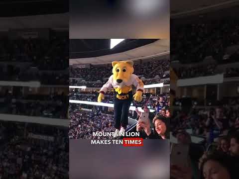 How does the Nuggets mascot make $625,000?