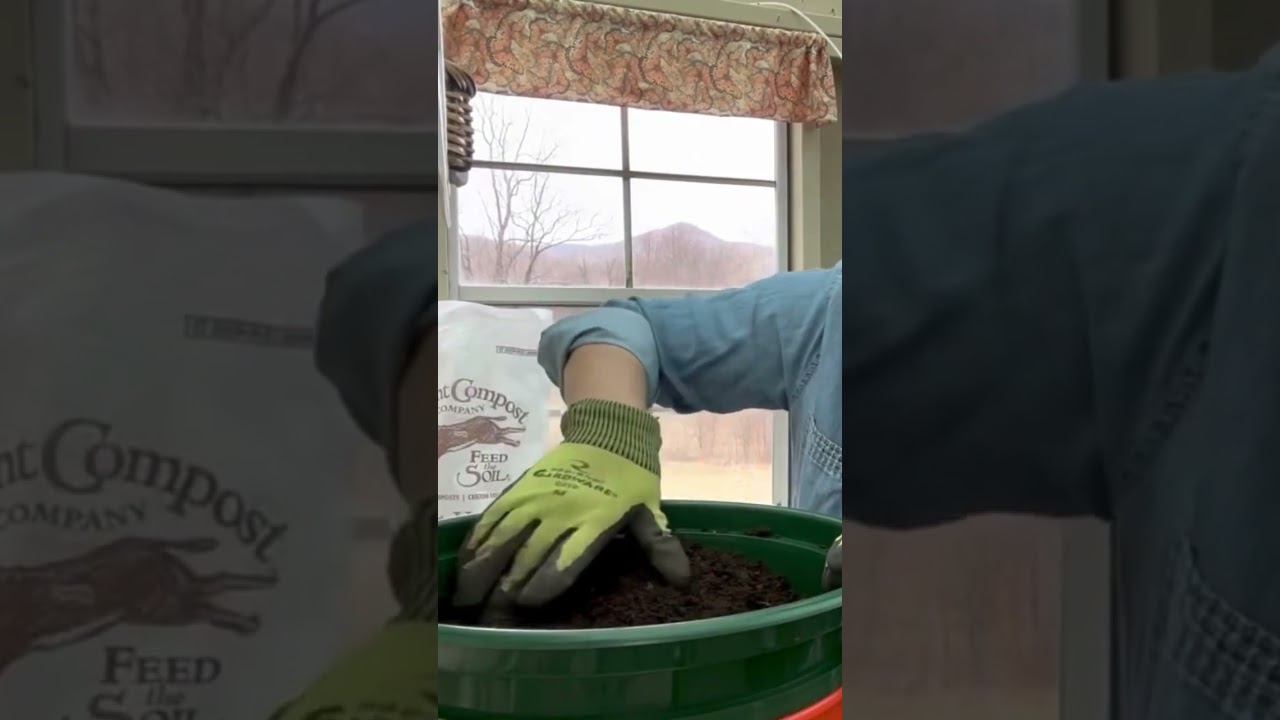 Soil Sifting Demo #gardeningshorts #seedstarting