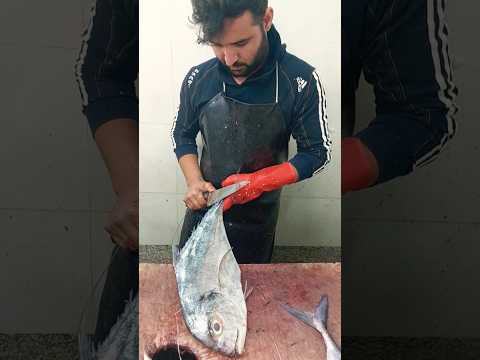 What is the name of this fish? Anyone can tell