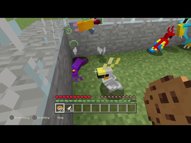 Top 5 things you probably didn't know about parrots in Minecraft ...