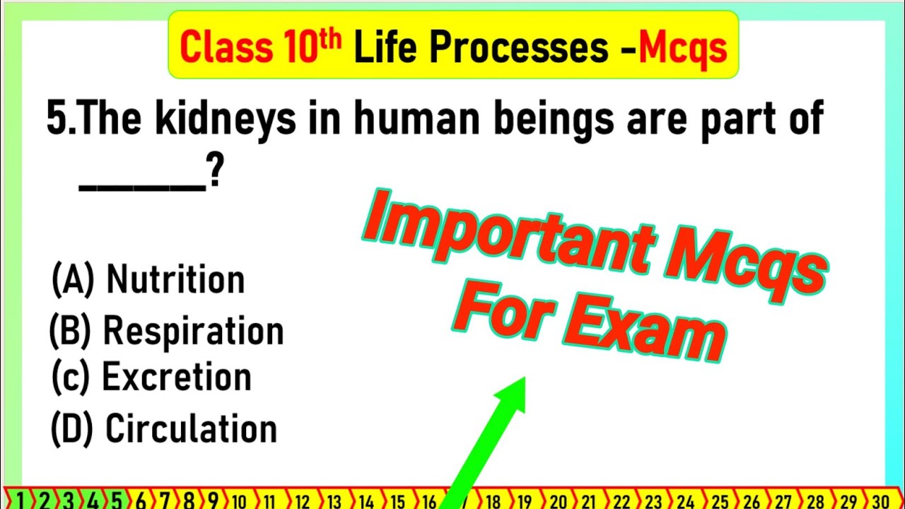 life process mcq class 10 |  MCQ Questions for Class 10 Science Life Process with Answers