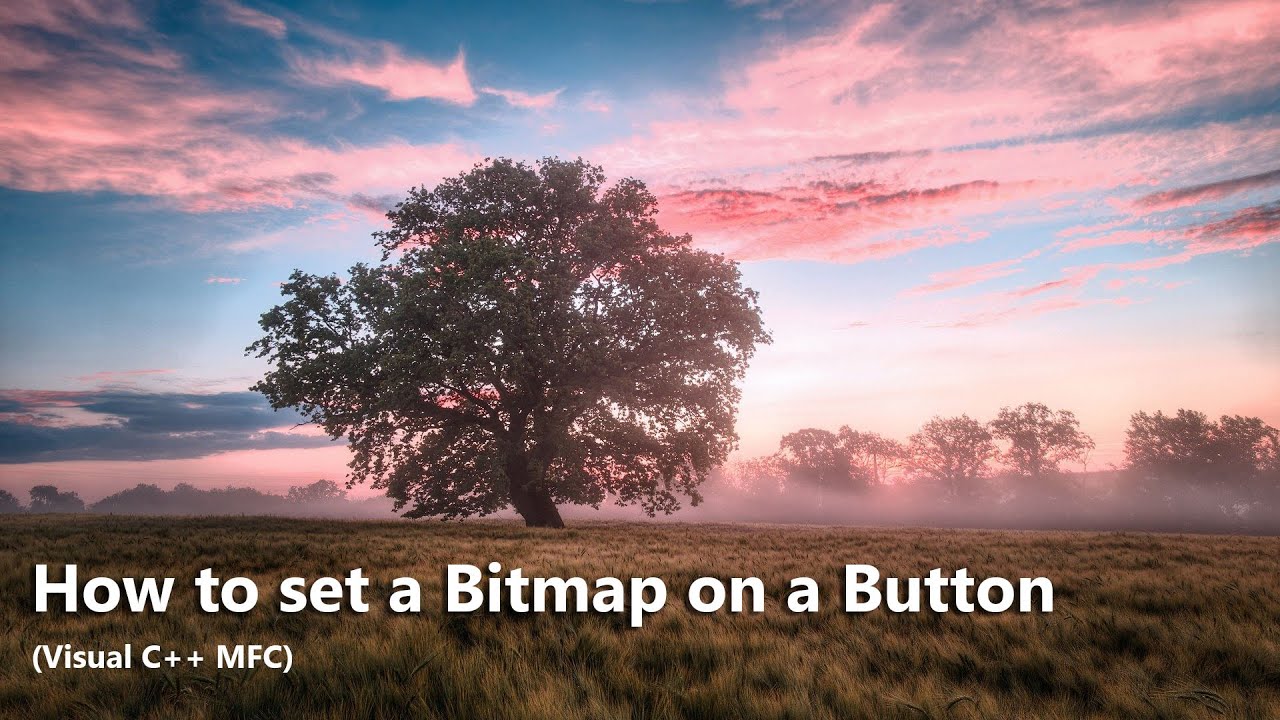 How to set a Bitmap on a Button (Visual C++ MFC)