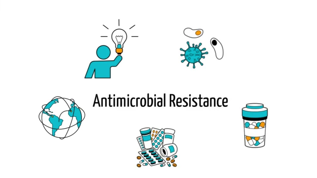 Antimicrobial Resistance (AMR): The Superbug Crisis Explained