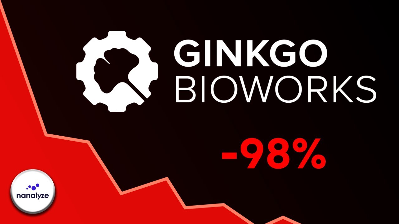 Ginkgo Stock: Value Trap or Misunderstood Gem?