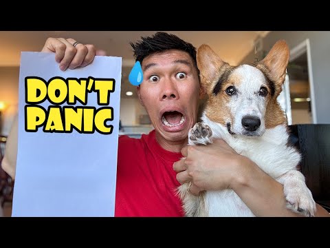 I Nearly Gave Up Today || Life After College: Ep. 798