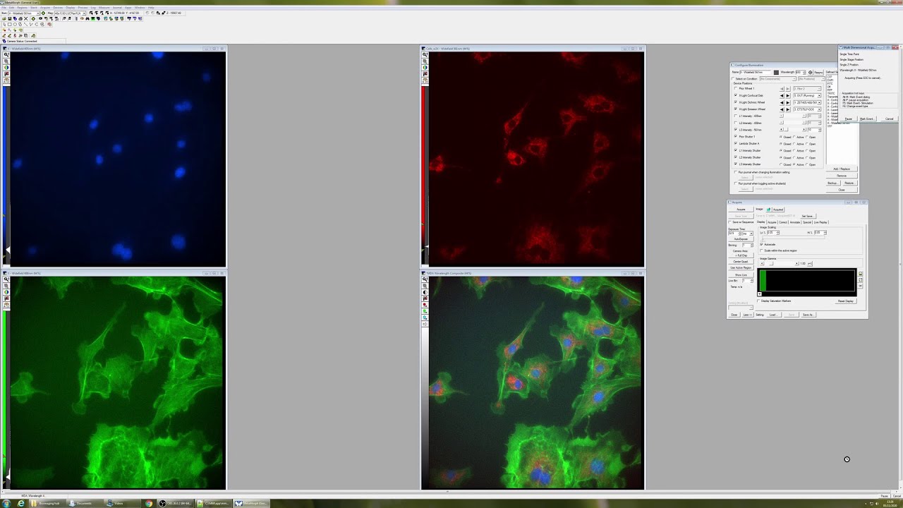 Olympus IX71 Spinning Disc Confocal System - basic imaging