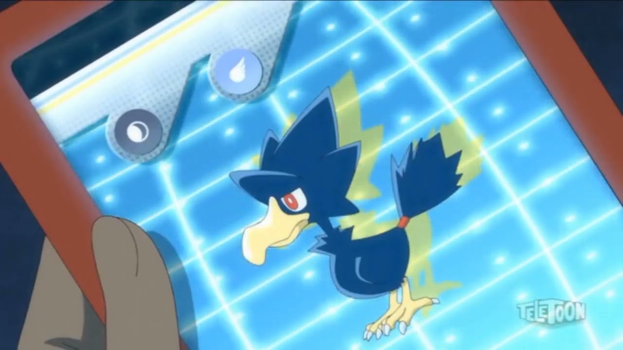 Murkrow and Honchkrow Pokédex Entries..wmv