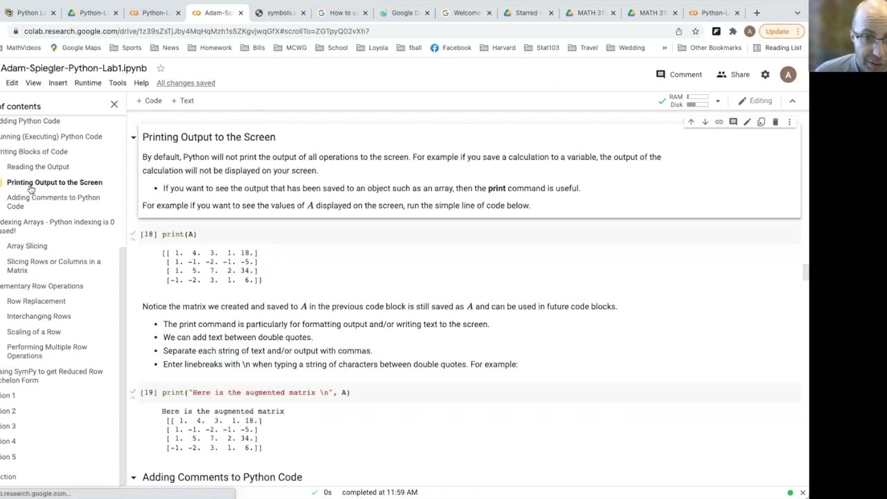 MATH 3191: How to Enter Your Answers for Python Lab 1?