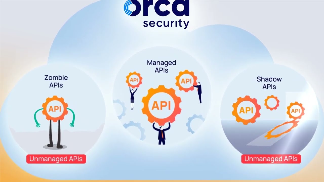 Orca Security Provides Agentless API Security in the Cloud | Cloud Security Tools and Solutions