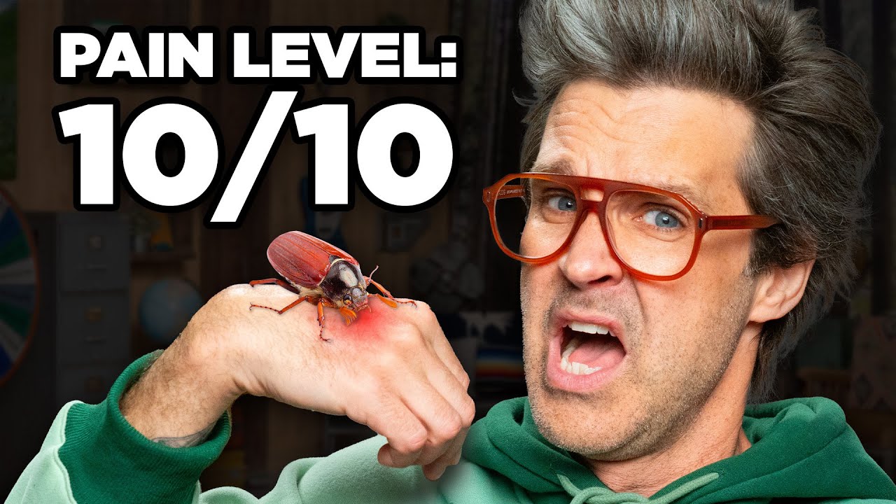 What's The WORST Bug Bite?