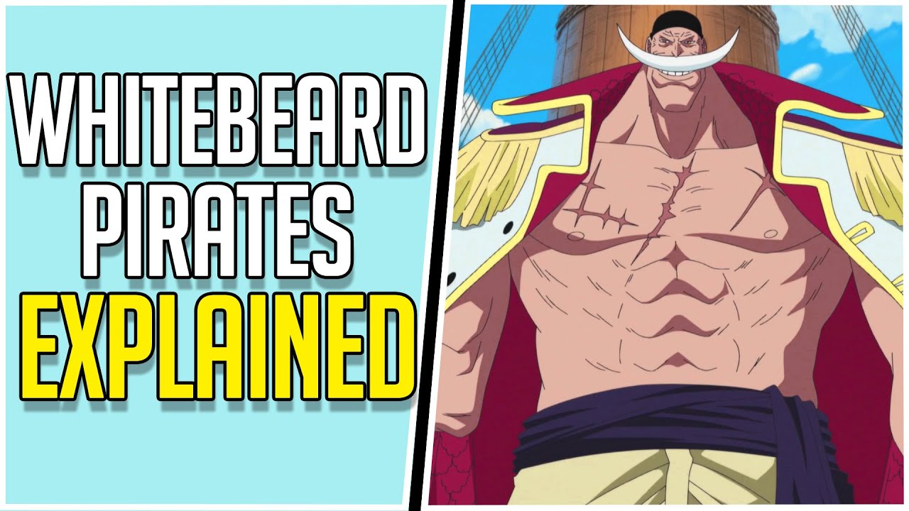 Whitebeard Pirates Explained | One Piece