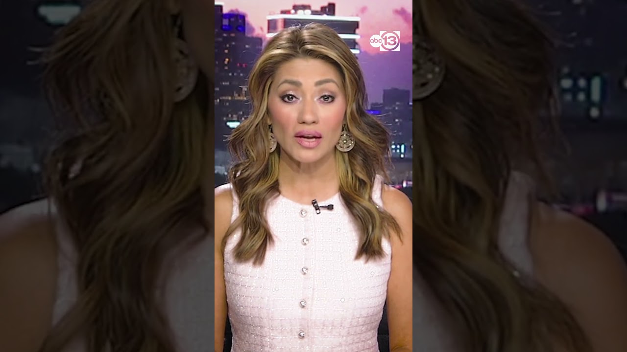 Defense bar to appear in courtroom of judge who snapped at IT tech