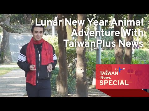 Lunar New Year Animal Adventure With TaiwanPlus News – 18:30, January 25, 2023 | TaiwanPlus News