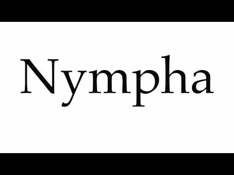 How to Pronounce Nympha