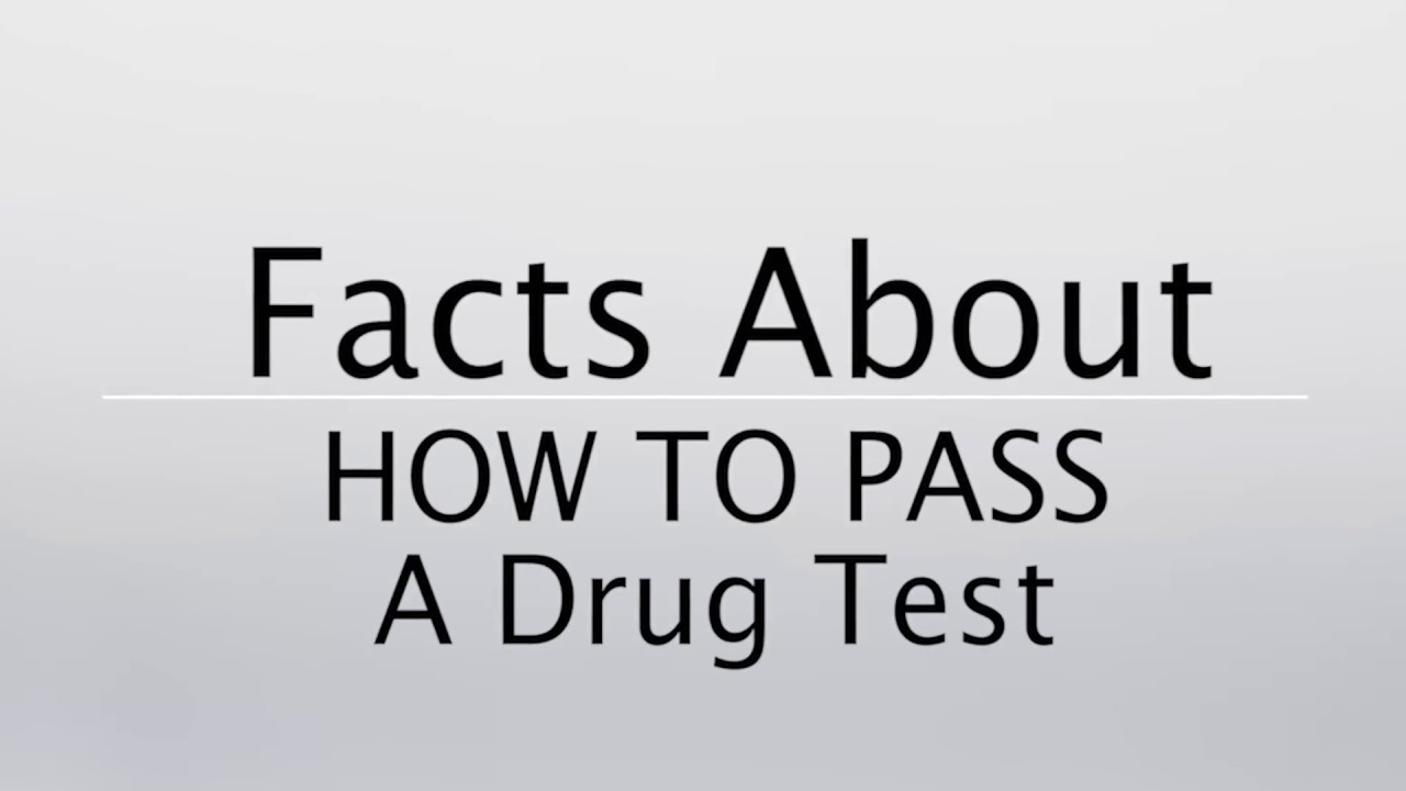 How To Pass A Drug Test Every Time (2018)