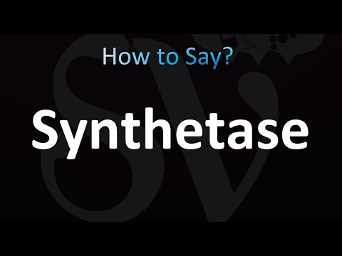 How to Pronounce Synthetase (correctly!)