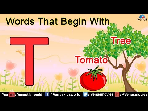 Words That Begin With 'T'