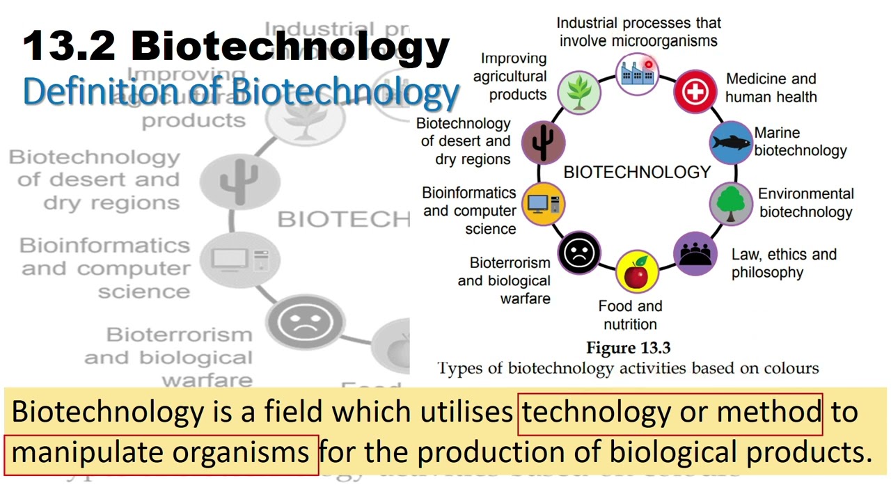13.2 Biotechnology defined