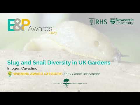 Early Career Research Award - Newcastle University Engagement & Place Awards 2023