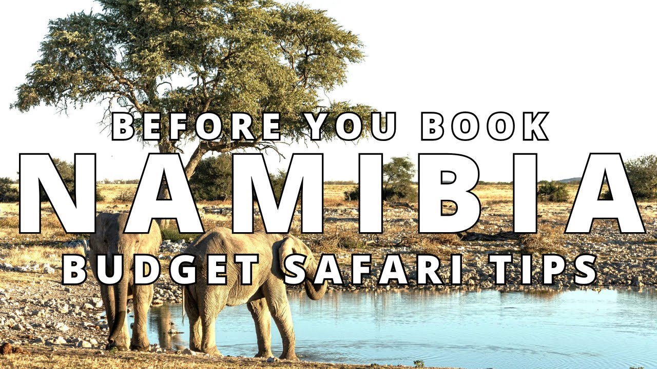 Must-See Safari Budget Travel Tips Before You Book | Etosha National Park Namibia | Camp & Wildlife