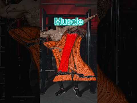 MUSCLE | MEDICAL DEFINITION VOCABULARY TERMINOLOGY