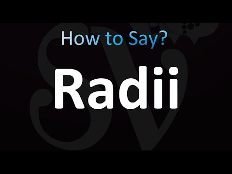 How to Pronounce Radii (Correctly!)