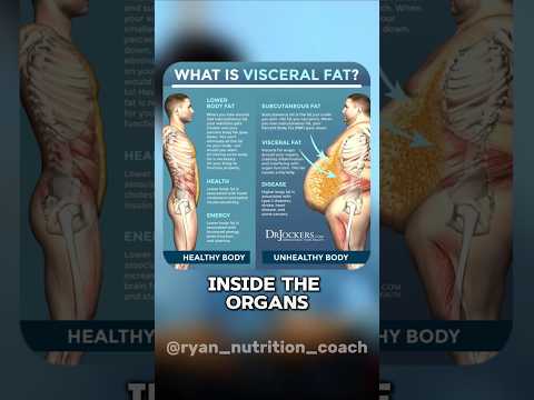 Different types of Fat