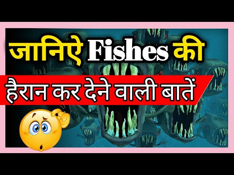 Amazing facts about Fishes/Factlogic#shorts