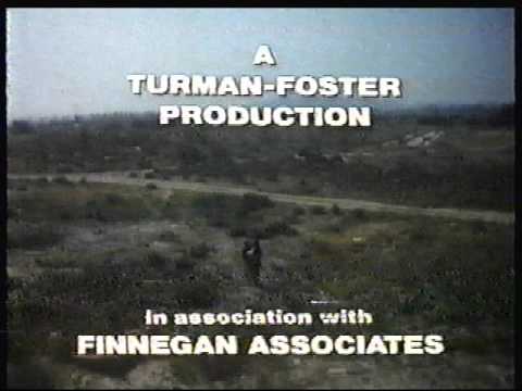 Truman-Foster Productions/Finnegan Associates/King Features Entertainment (1982)