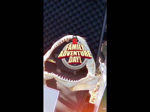 Family Adventure Day 2025