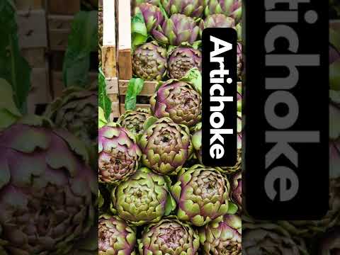 What top foods are rich in polyphenols?