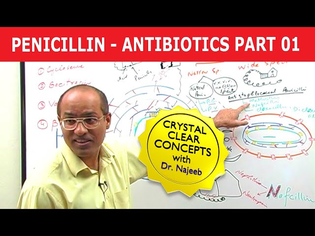 Understanding Antibiotics: A Deep Dive into Penicillin and Its ...