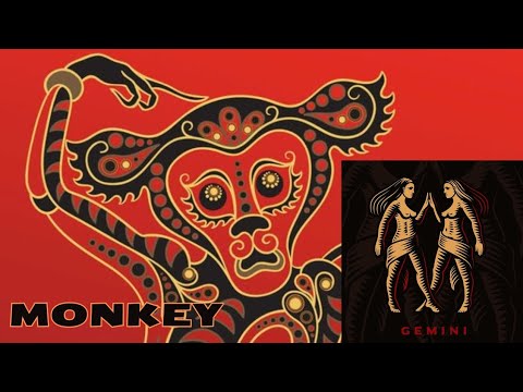 GEMINI - MONKEY