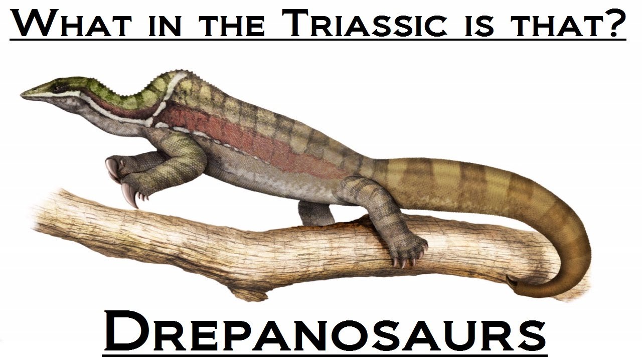 Prehistoric Breakdown: Drepanosaurs