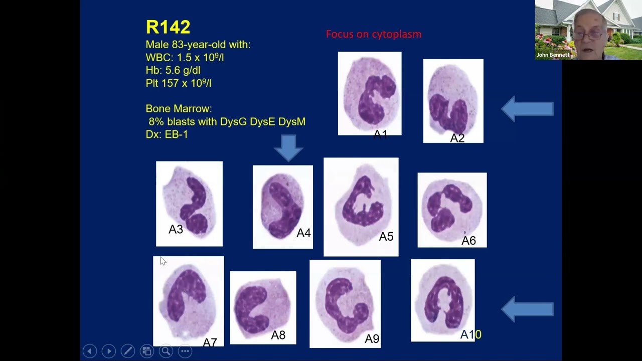 MDSR 2024: Morphology