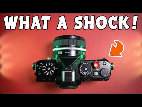 Nikon Zf: Real world experience with sample photos