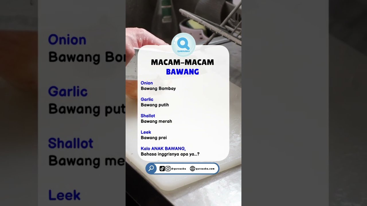 MACAM-MACAM BAWANG DALAM BAHASA INGGRIS #shorts #learnenglish #belajarbahasainggris #qursusku