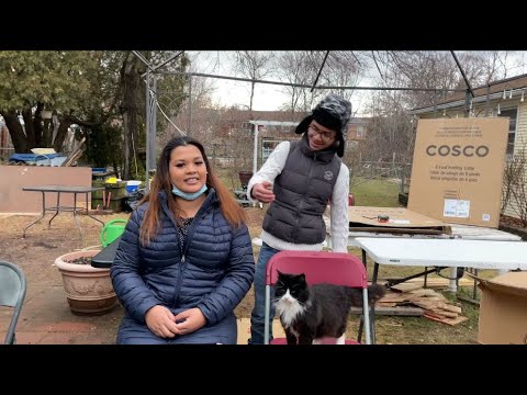 HERCULES 650 lbs Capacity Premium Plastic Folding Chair Flash Furniture Series 1st Impression Review