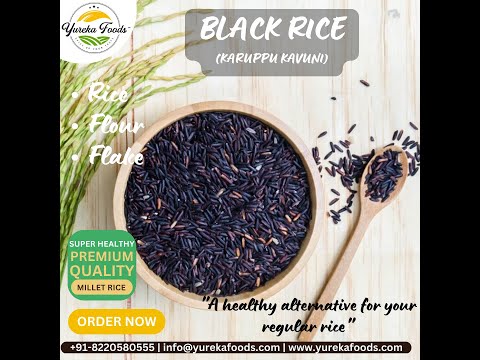 Organic Black Rice - Wholesale Price & Mandi Rate for Organic Black ...