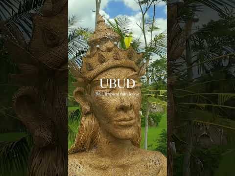 UBUD🇮🇩 Best places to visit in bali, Indonesia