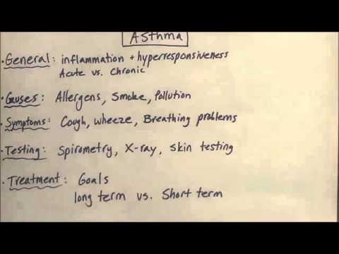 Introduction to Asthma in 4 Minutes