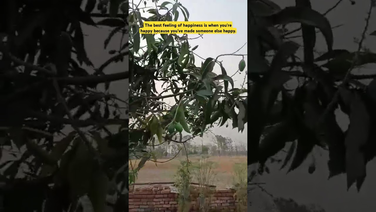 The best feeling of happiness is when you're happy because you've made someone else happy.