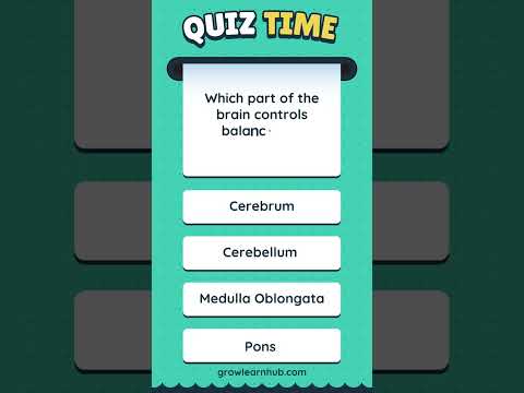Which part of the brain controls balance and coordination #shorts #gk #biology #brain #quiz