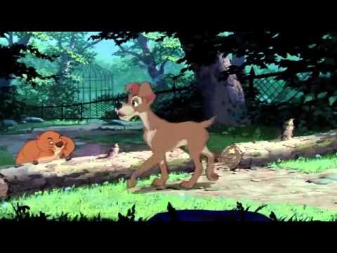 Lady and the Tramp || 1